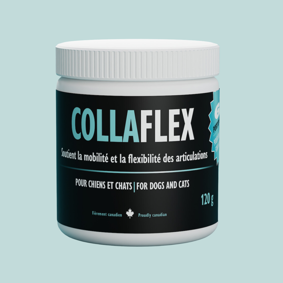 Collaflex - Collagène Hydrolysé pour Articulations Saines des Animaux ...