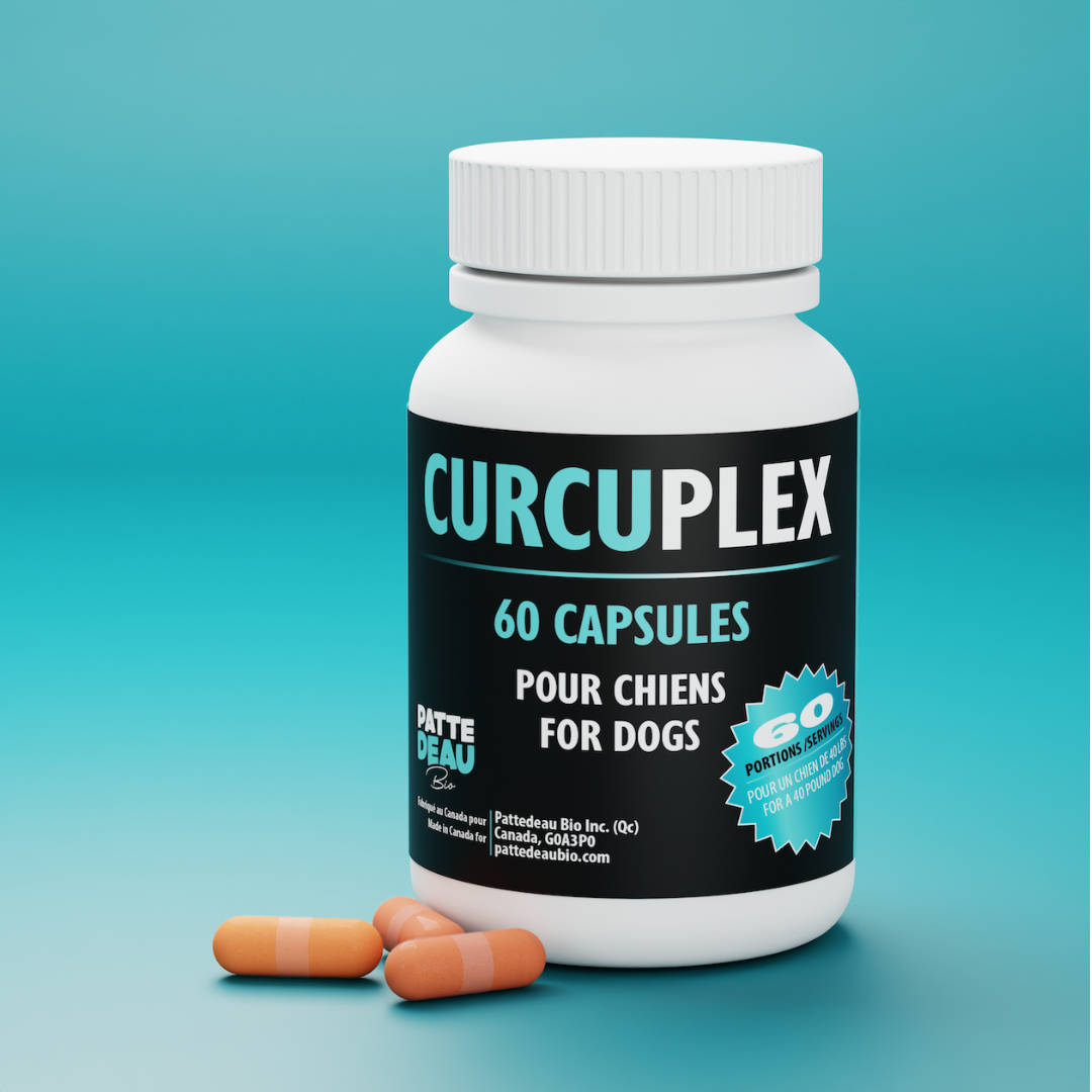Curcuplex – Pattedeau Bio Inc.