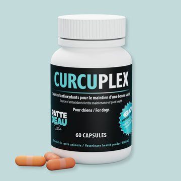 Curcuplex – Pattedeau Bio Inc.