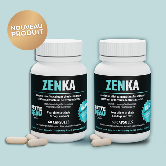 ZENKA – Pattedeau Bio Inc.